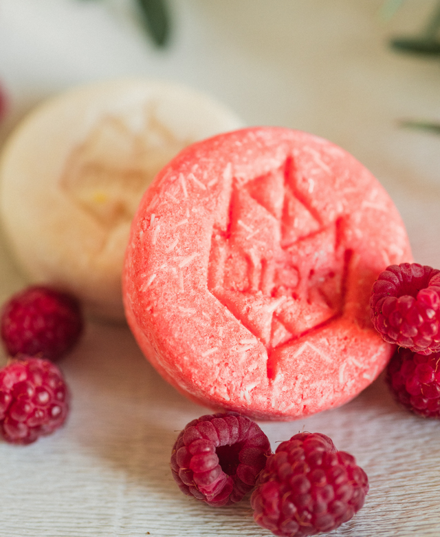 Danske shampoobars fra Birk – Birk Denmark