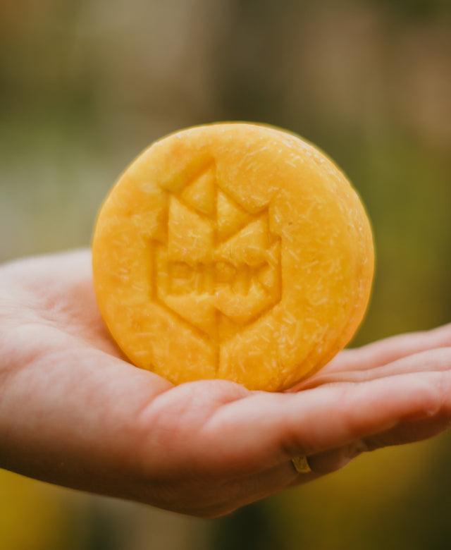 Danske shampoobars fra Birk – Birk Denmark