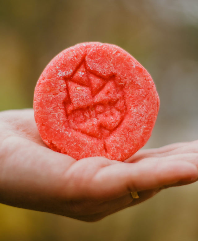 Danske shampoobars fra Birk – Birk Denmark